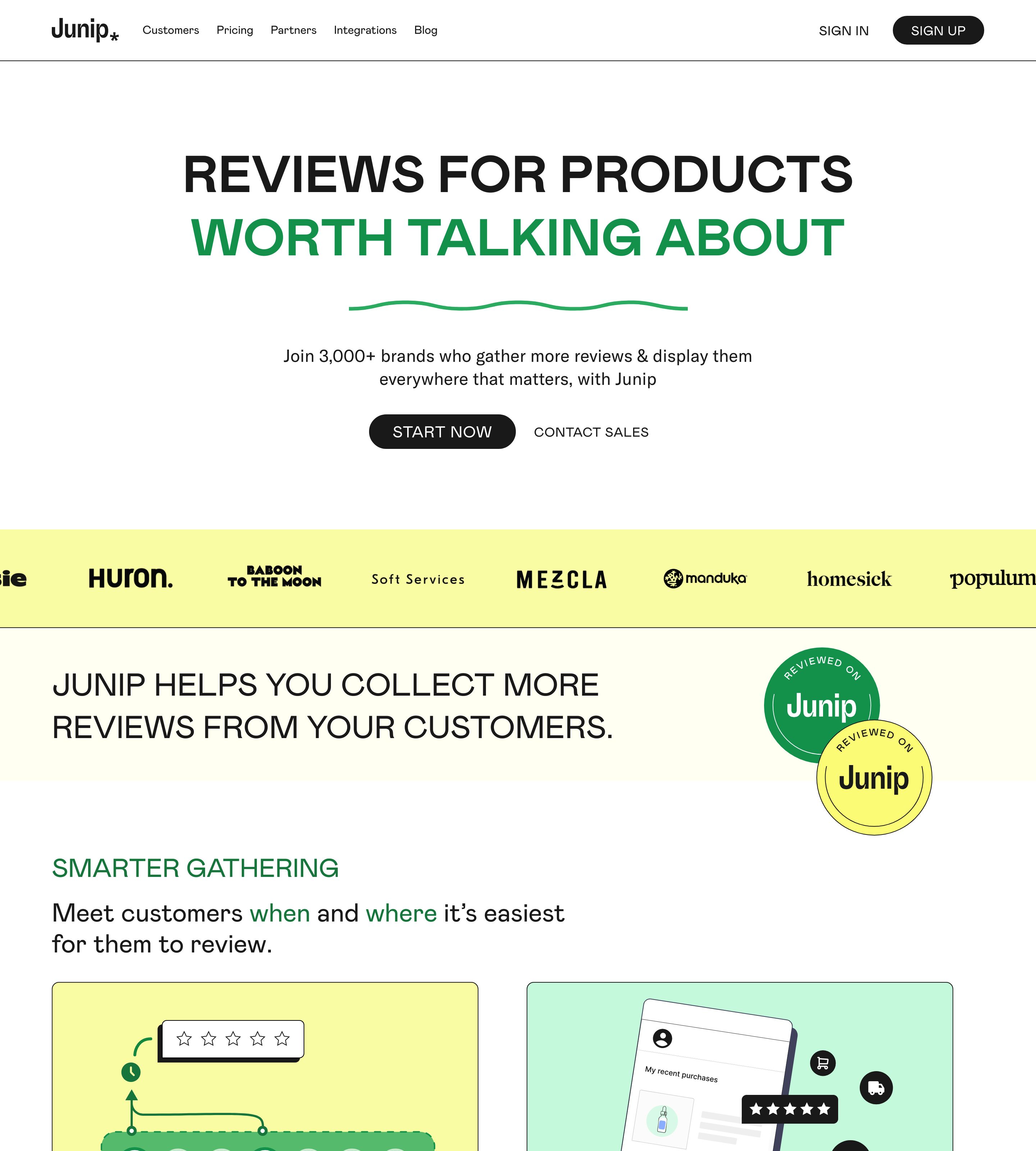 Saaspo Canvas Landing Page saaspo-canvas-landing-page
