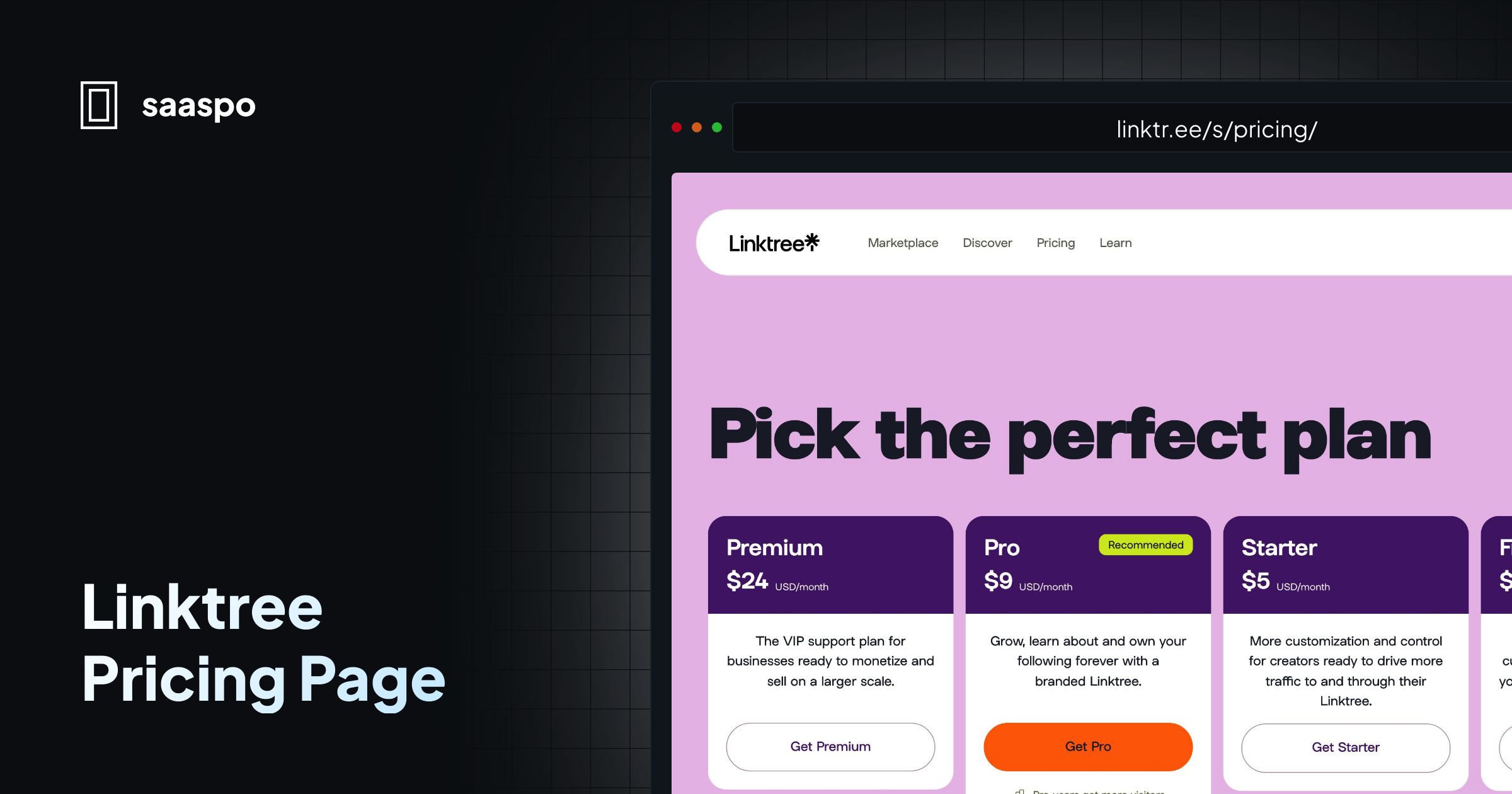 Saaspo | Linktree Pricing Page