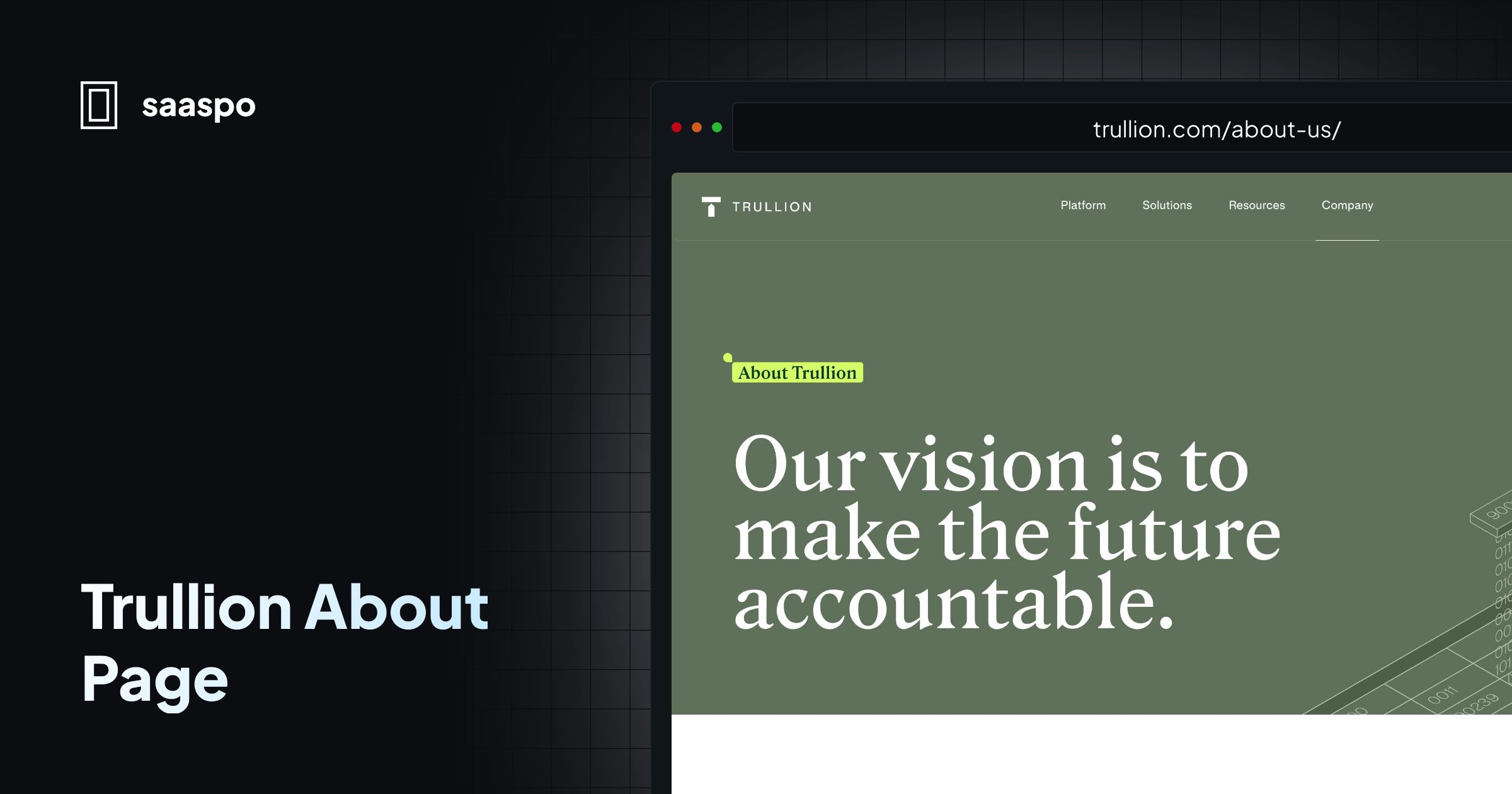 Saaspo | Trullion About Page