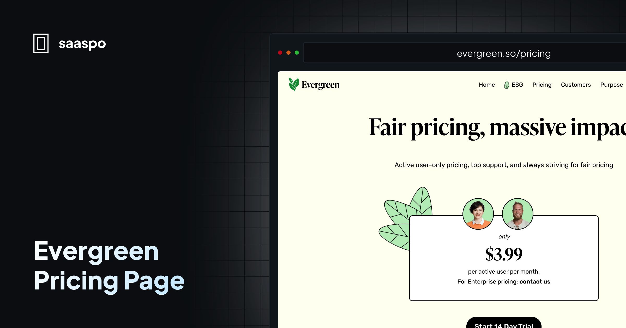 Saaspo | Evergreen Pricing Page