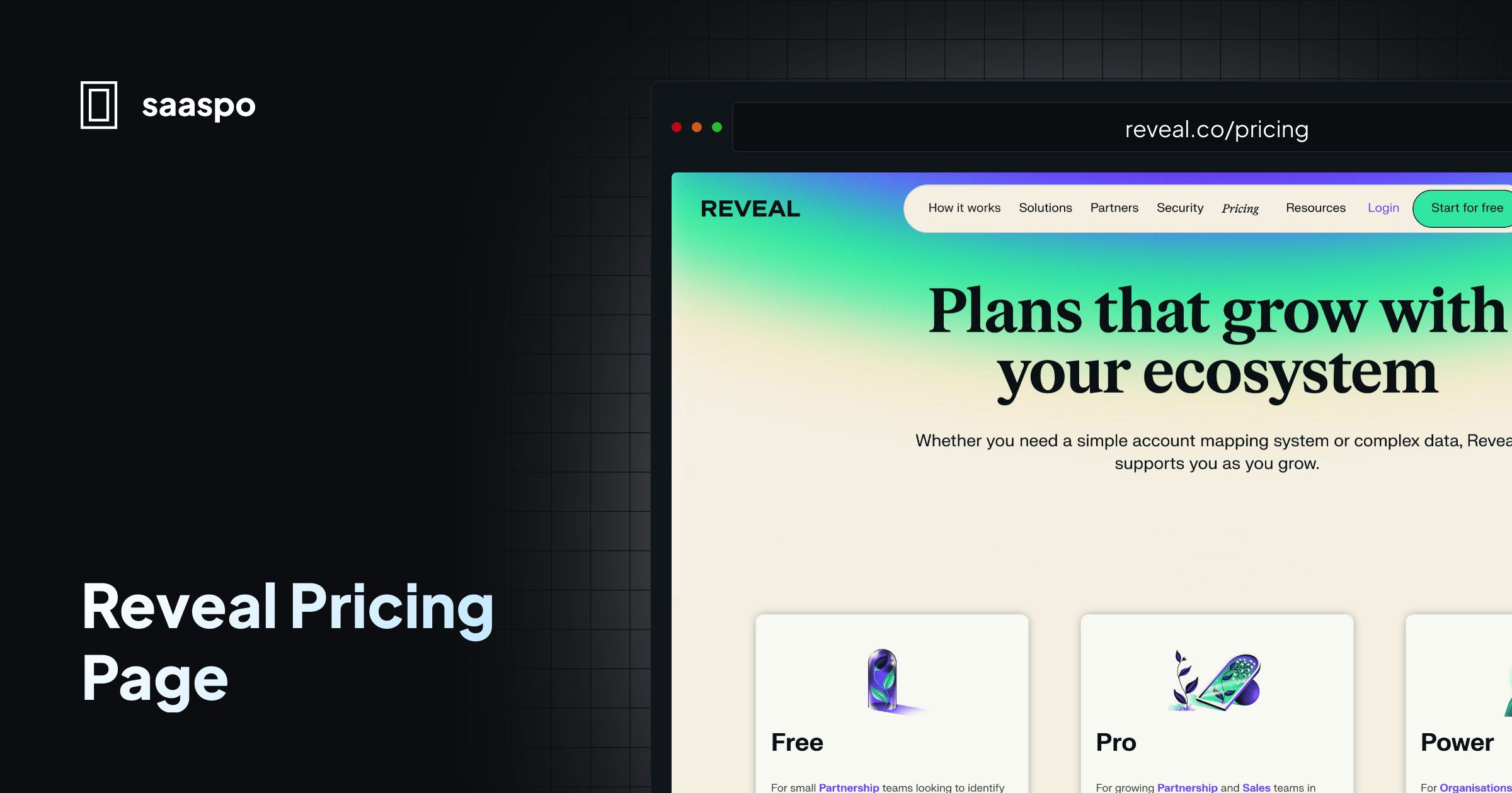 Saaspo | Reveal Pricing Page