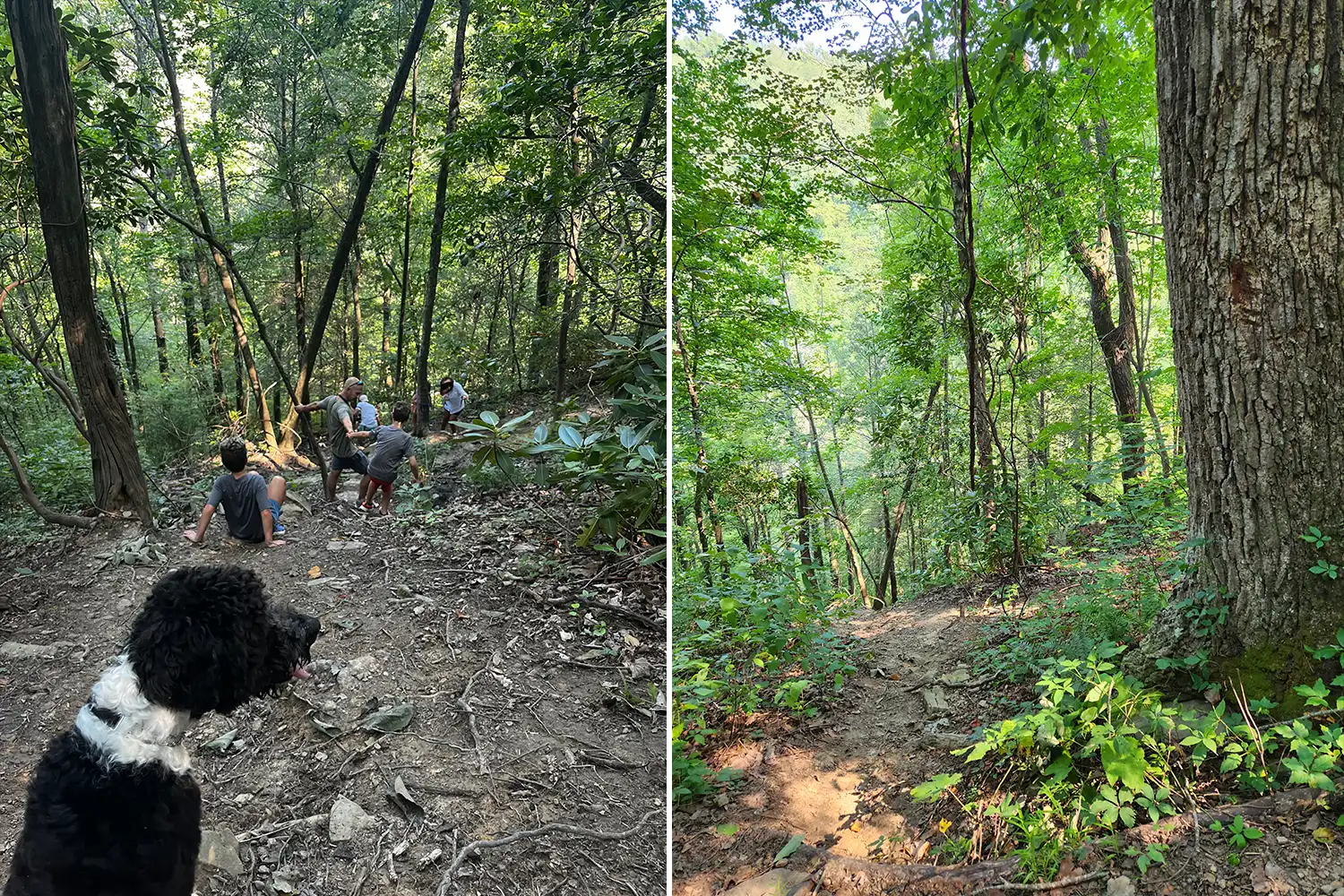 Signal Point to Edwards Point: A Scenic Signal Mountain Hike