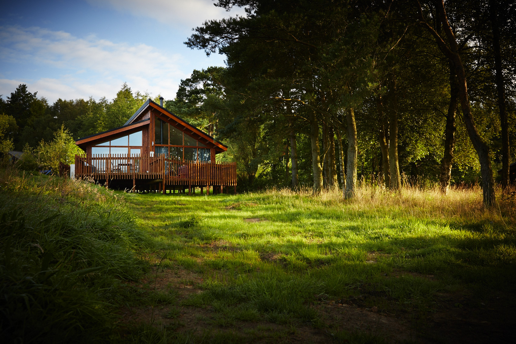 Forest Holidays Case Study