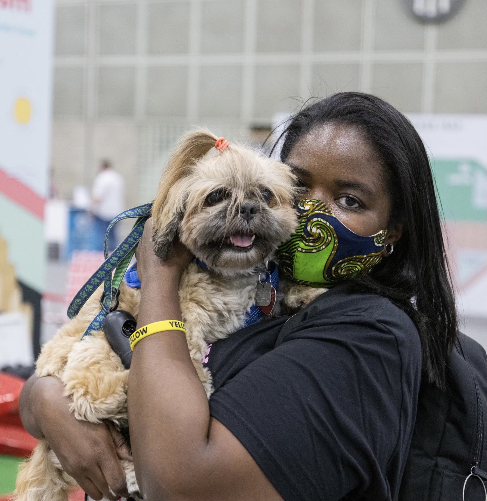 Changing Roles and Forging New Careers – How Replicated Supports Employees