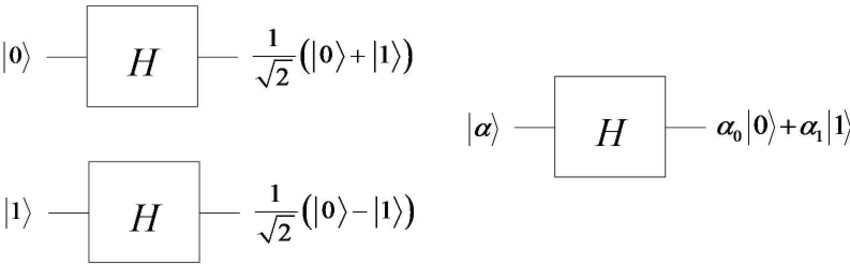 Complete Intro to Quantum Circuit: Everything to Know