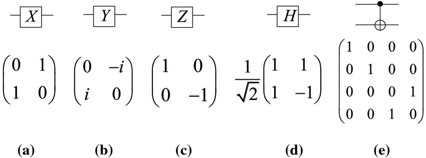Complete Intro to Quantum Circuit: Everything to Know