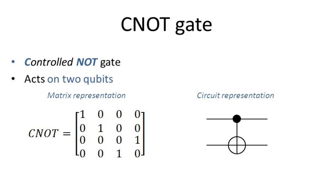 Complete Intro to Quantum Circuit: Everything to Know