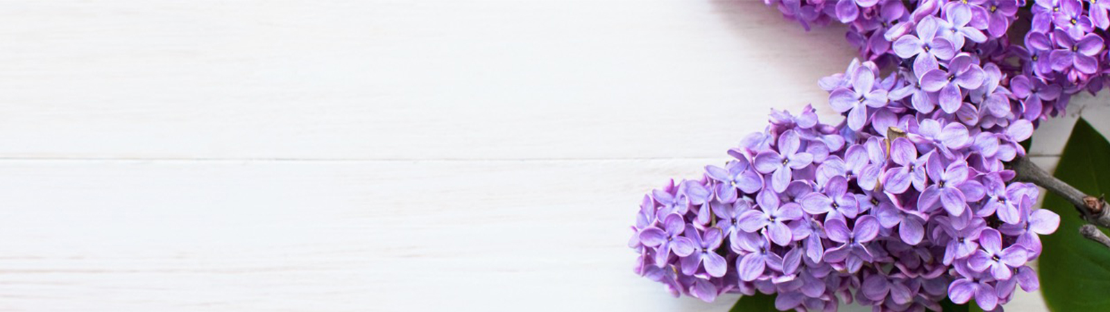 Terpineol | goodblend - Texas Medical Marijuana Dispensaries