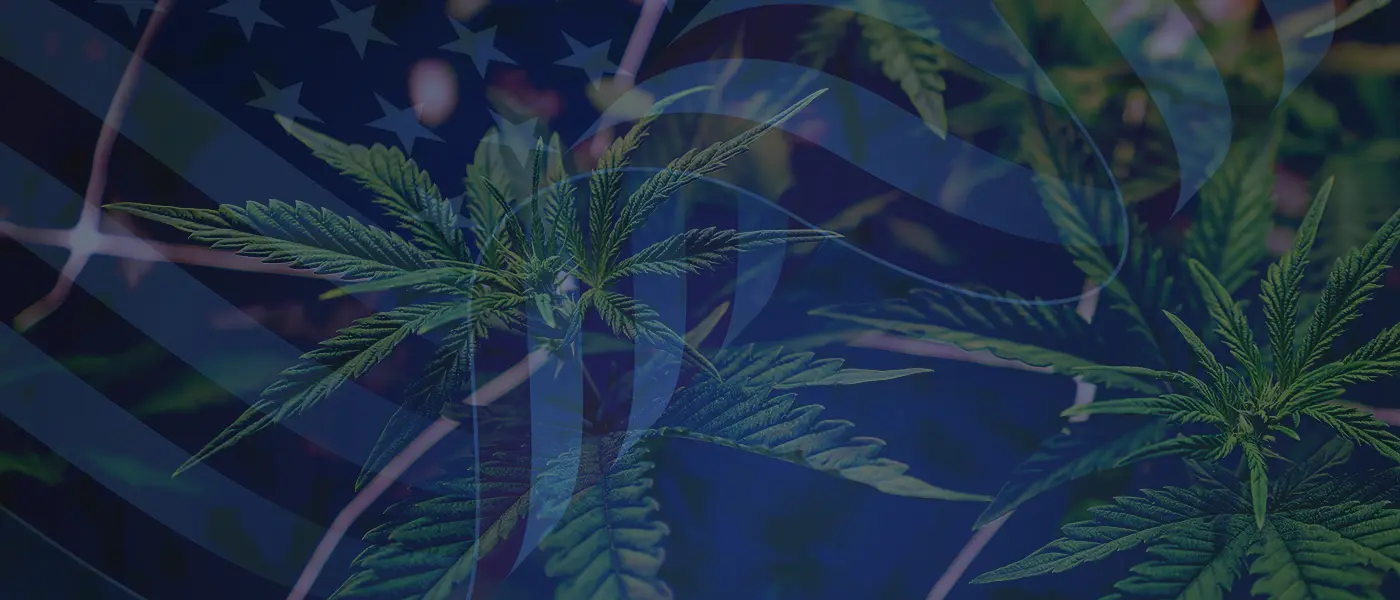 Honoring Veterans and Advocating for Access to Plant-Based Medicine ...