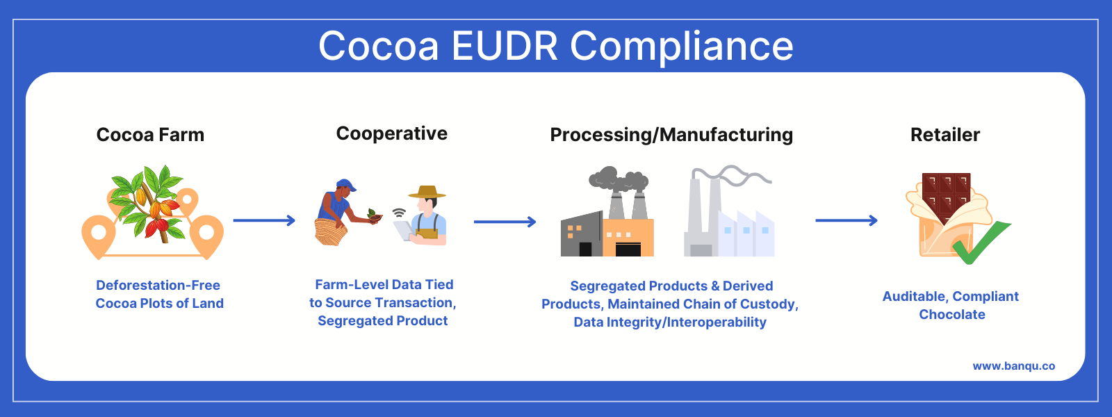 The Sustainable Cocoa Guide: Making Coca Deforestation-Free