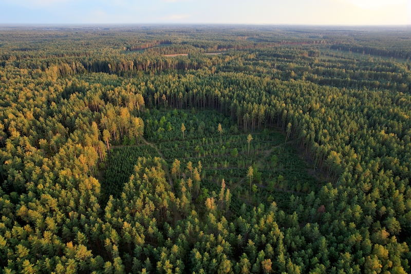 Supplier Engagement Guide: 7 Key Steps For An Effective Strategy