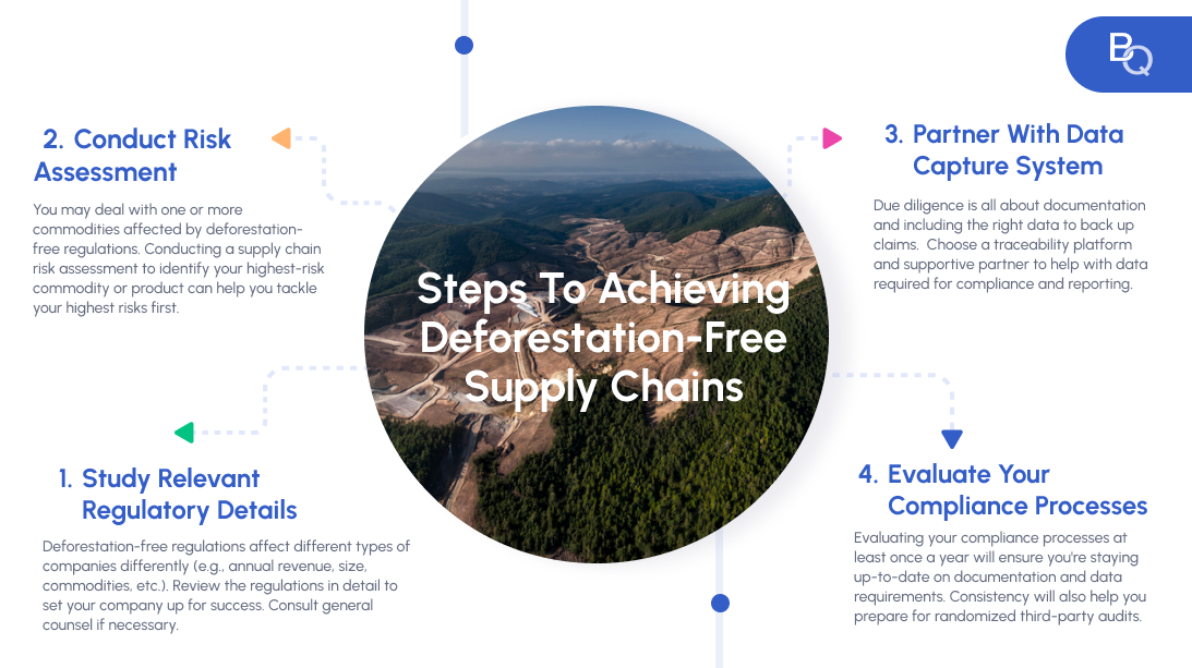 The Deforestation-Free Supply Chain Guide For 2024
