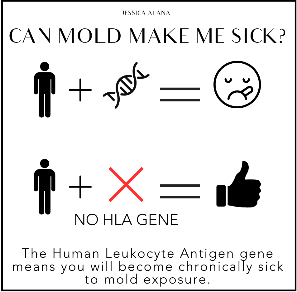 Got Mold? Let's Find Out