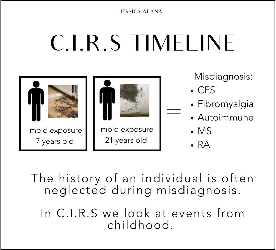Got Mold? Let's Find Out