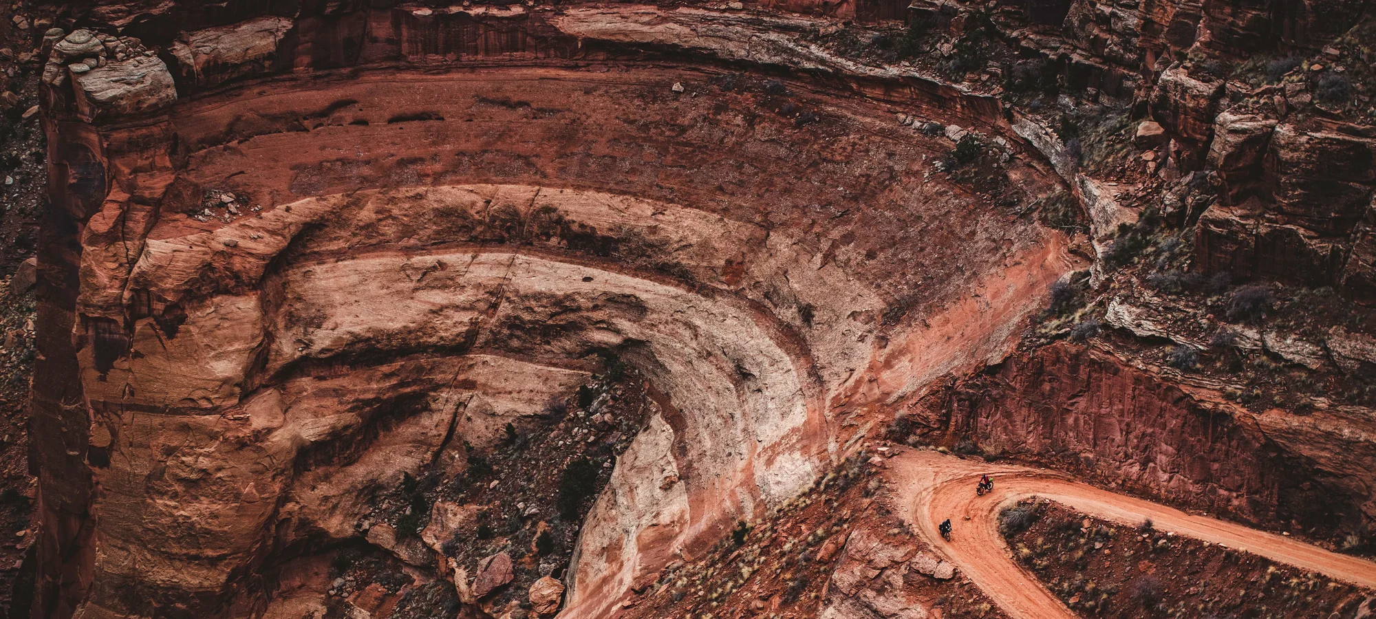 Interview with Andrew Job: Founder and CEO of Plotlogic