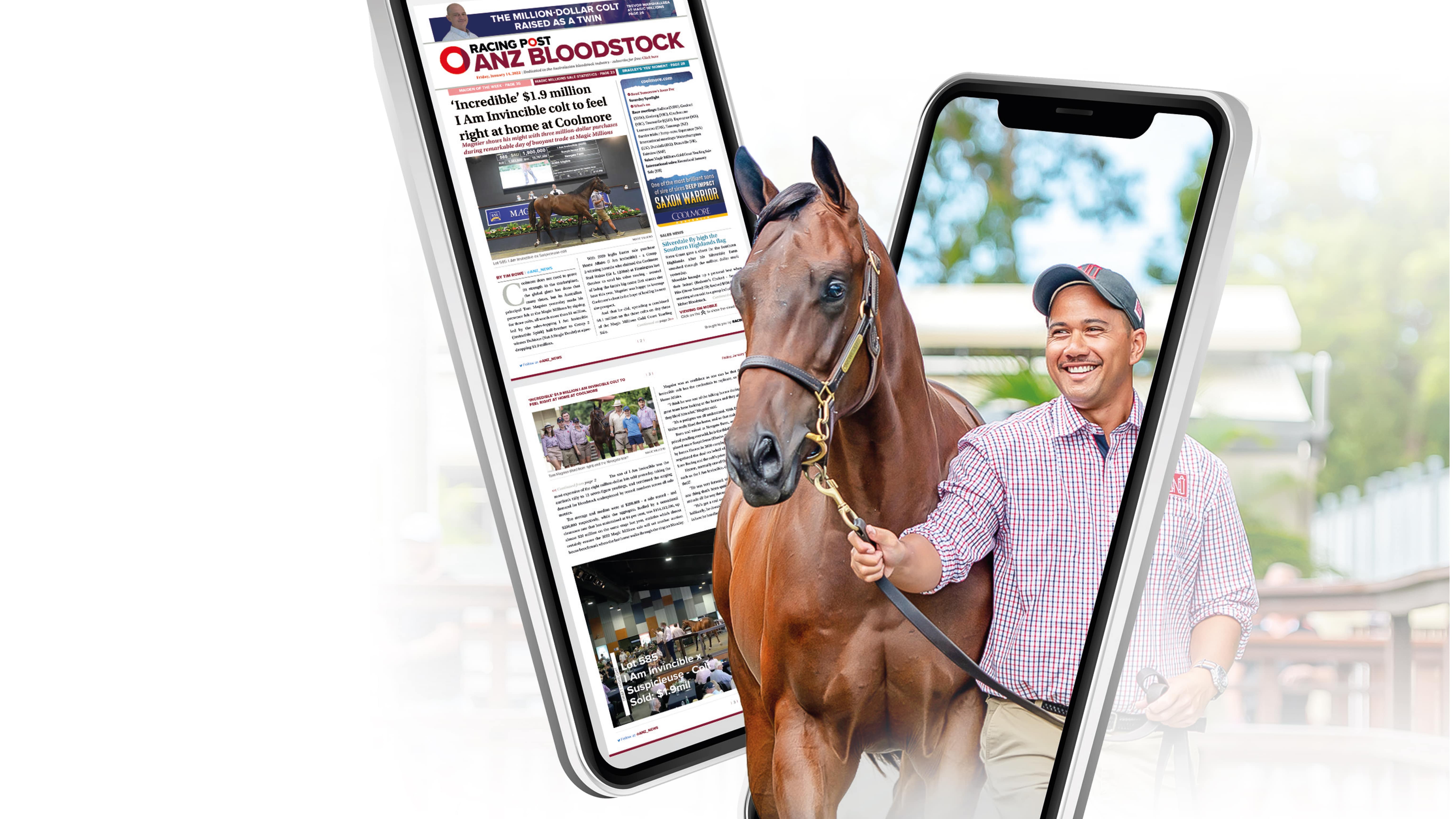Equine Marketing - From Stalls to Screens | BLOODSTOCK