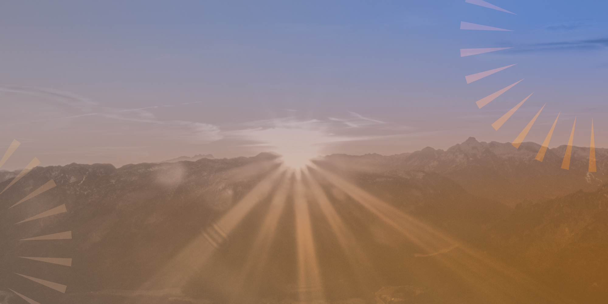 The Transparency Foundation