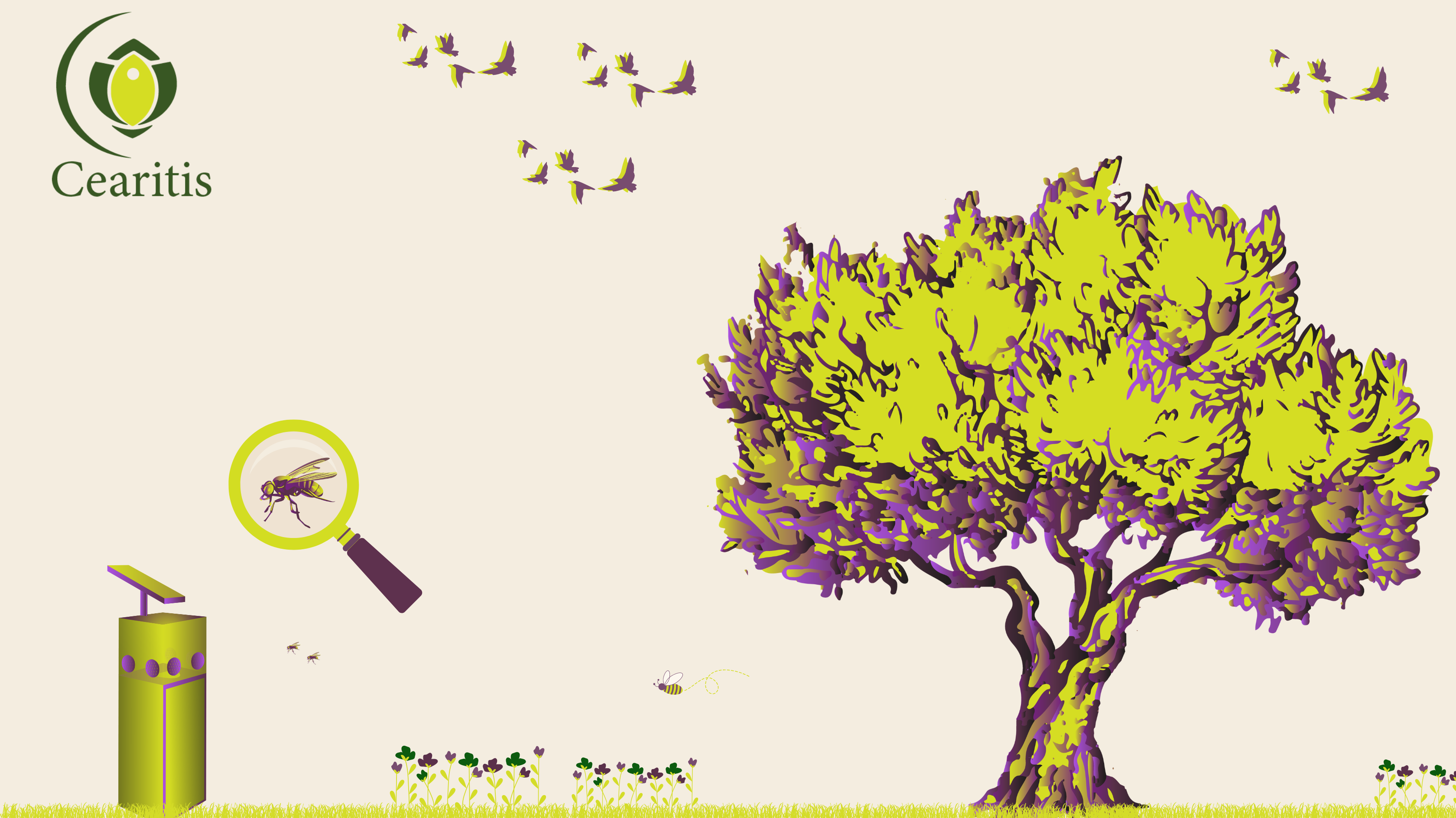 Cearitis | Investissez dans l'avenir