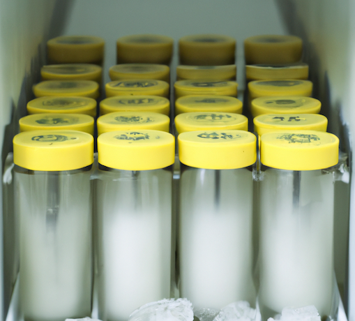 Navigating Biopharma Services: GMP Storage Facilities and Cold Chain ...