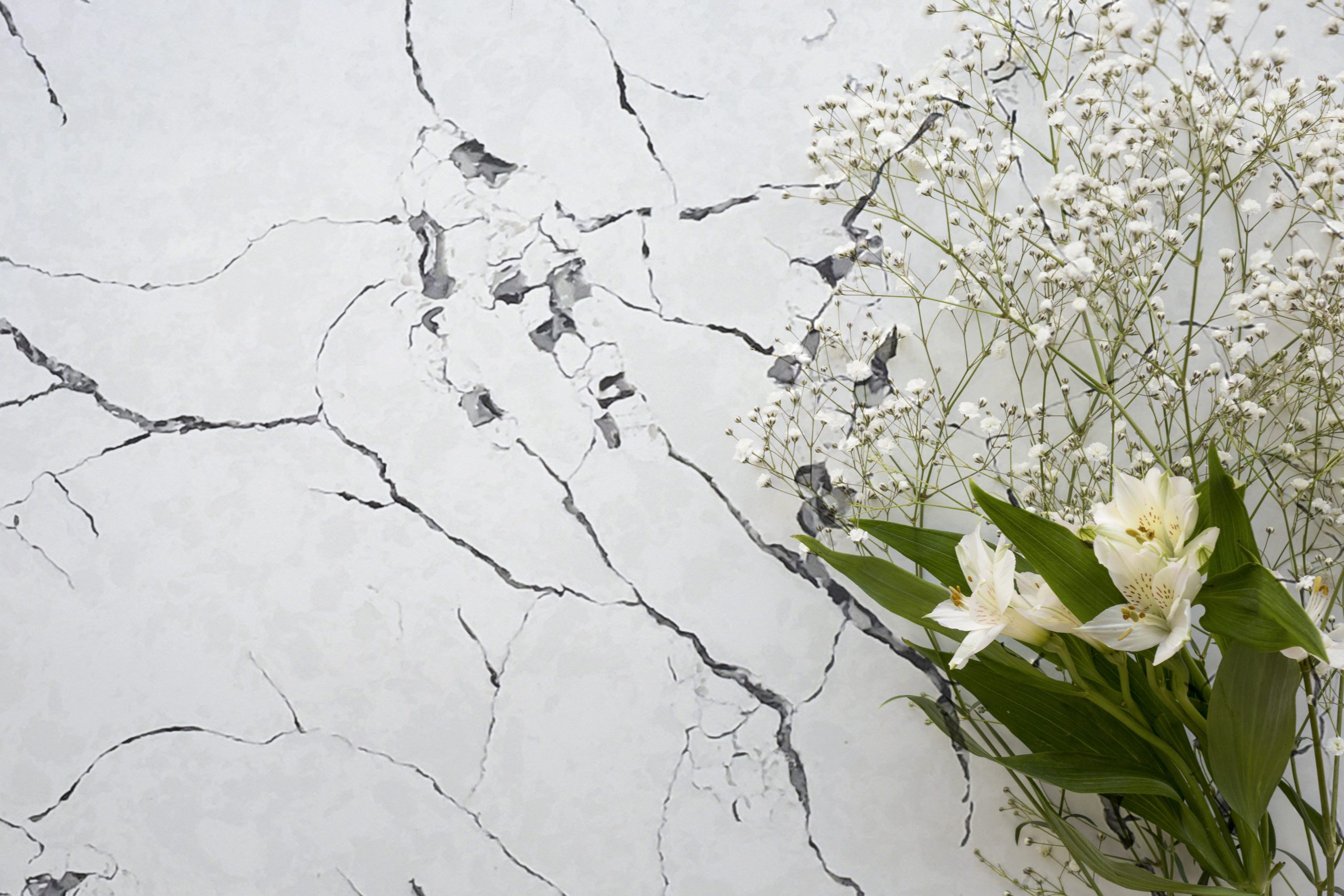 Calacatta Volar 3CM Quartz Countertop Slab in Chicago