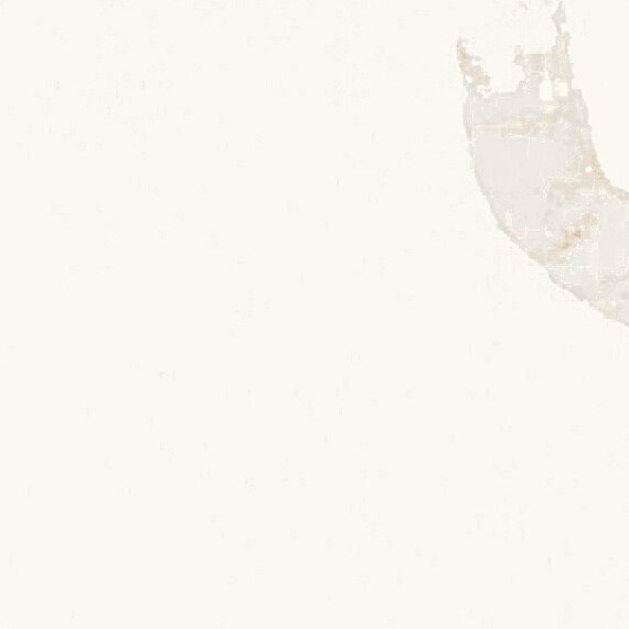 Statuary Glory Quartz Countertop Slab in Chicago