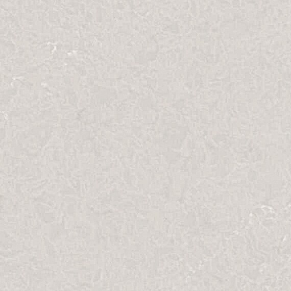 Argos Quartz Countertop Slab in Chicago