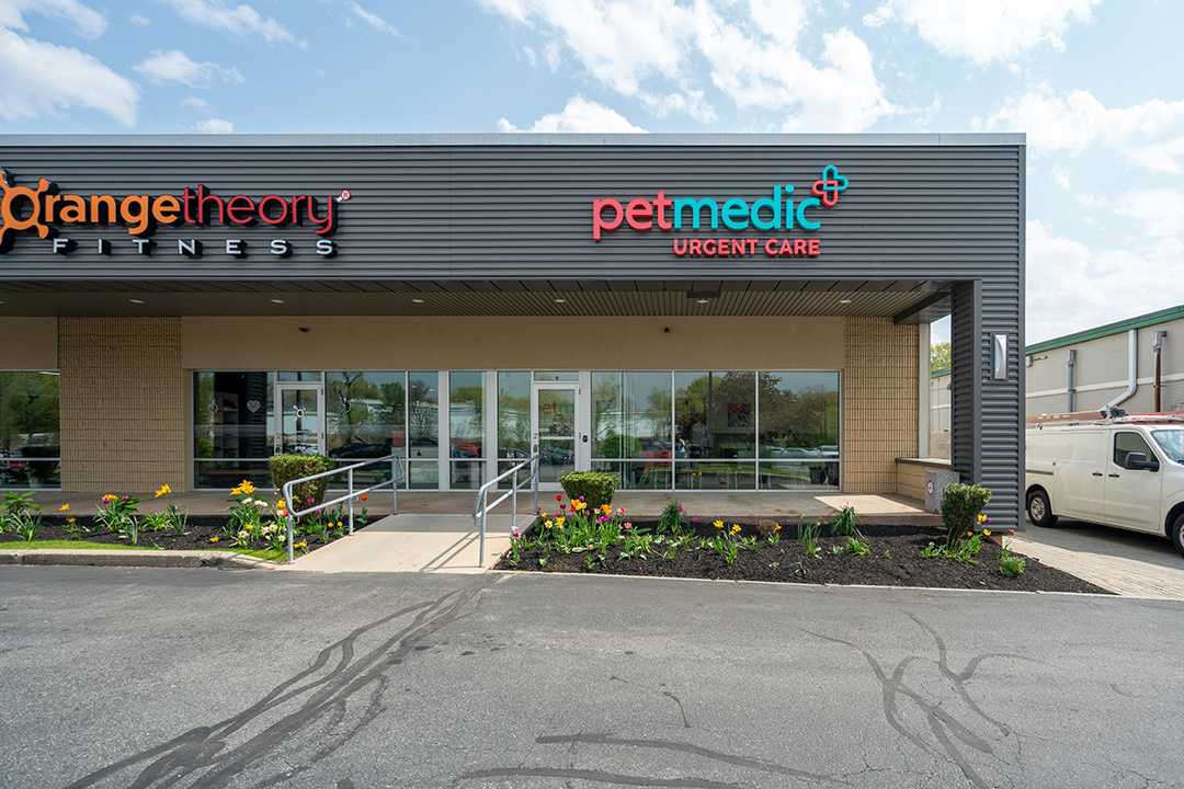 Petmedic Burlington - OLSON LEWIS + Architects