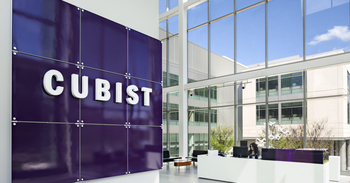 Cubist - OLSON LEWIS + Architects