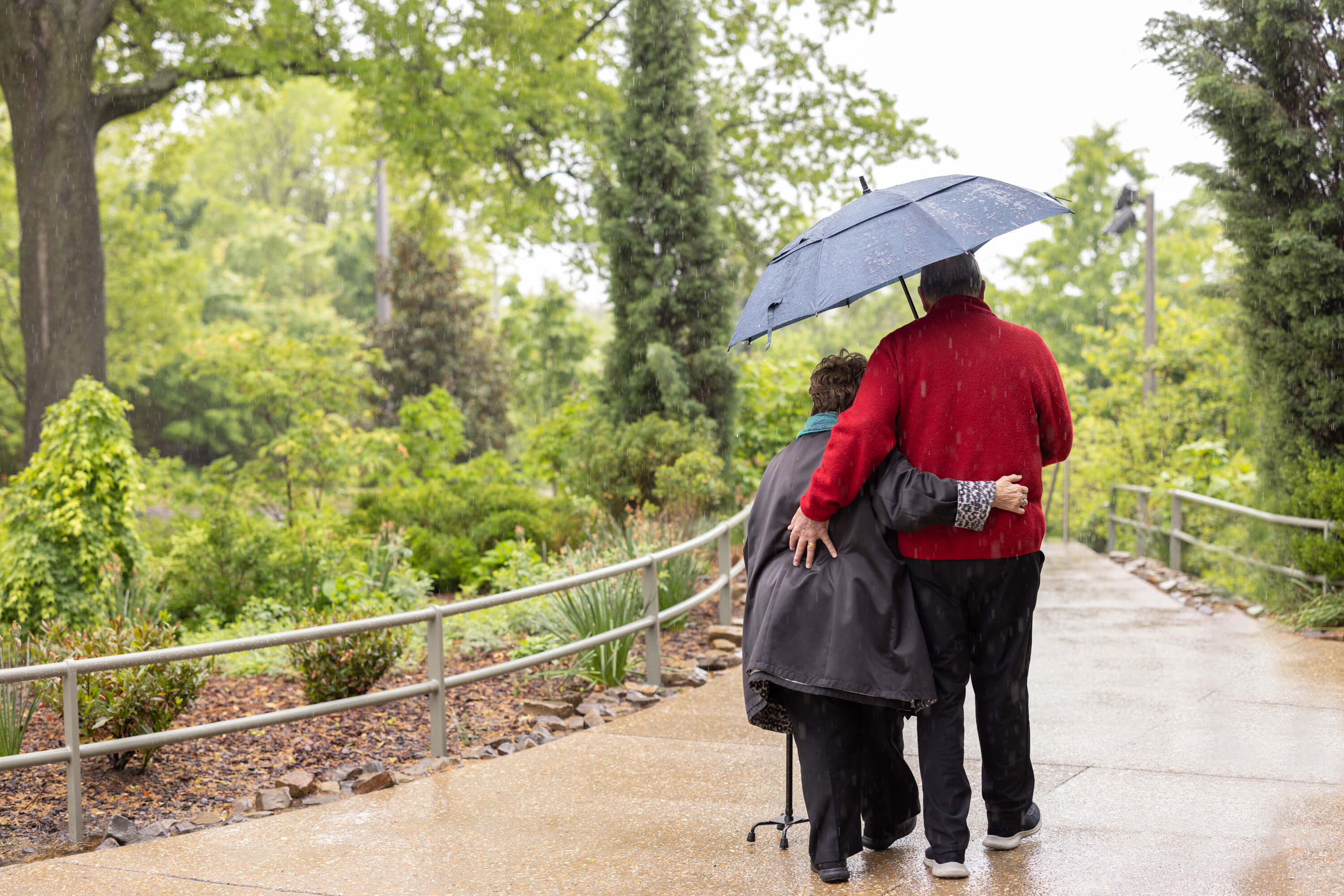 What to Do After a Fall: A Comprehensive Guide for Older Adults — Wisebird