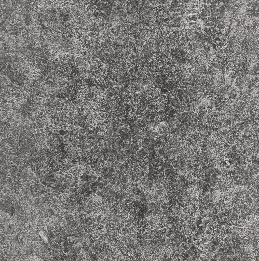 Buff Limestone - STONEarch