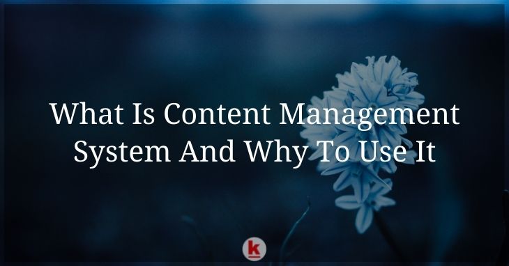 What Is Content Management System And Why To Use It - RedAlkemi