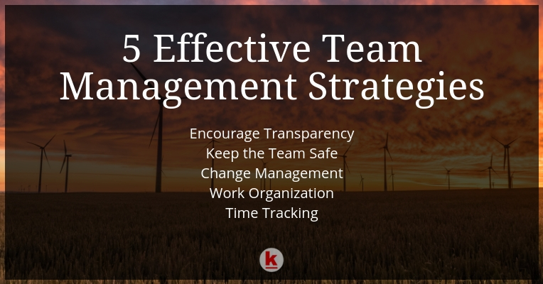 How to Manage a Small Team Successfully - RedAlkemi