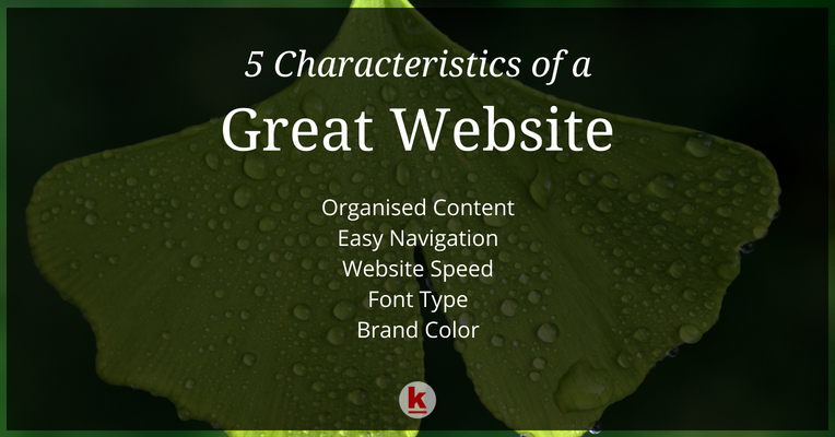 Essential Components of a Website! - RedAlkemi