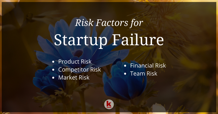 Startup Risk Management to Avoid Startup Failure! - RedAlkemi