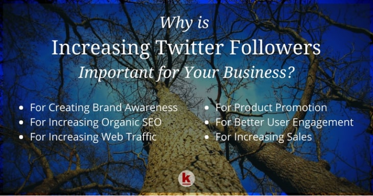 Importance of Increasing Twitter Followers - RedAlkemi