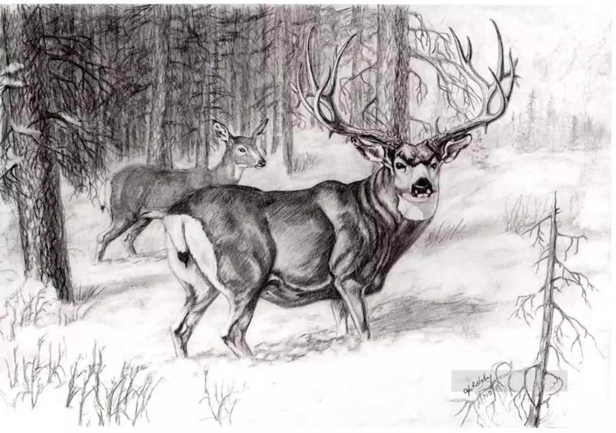 18 Easy & Beginner-friendly Landscape Drawing Ideas