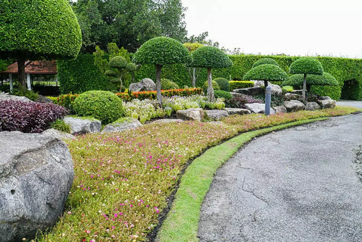 What Is Landscaping: A Comprehensive Guide