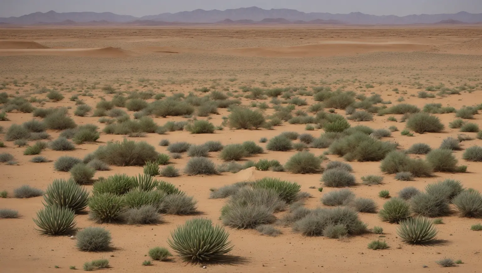 Types Of Landscapes - Everything You Need To Know