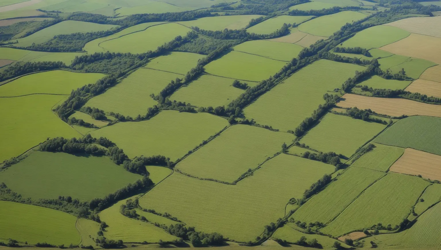 Types Of Landscapes - Everything You Need To Know