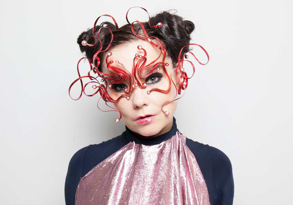 The Guide To Understanding Björk