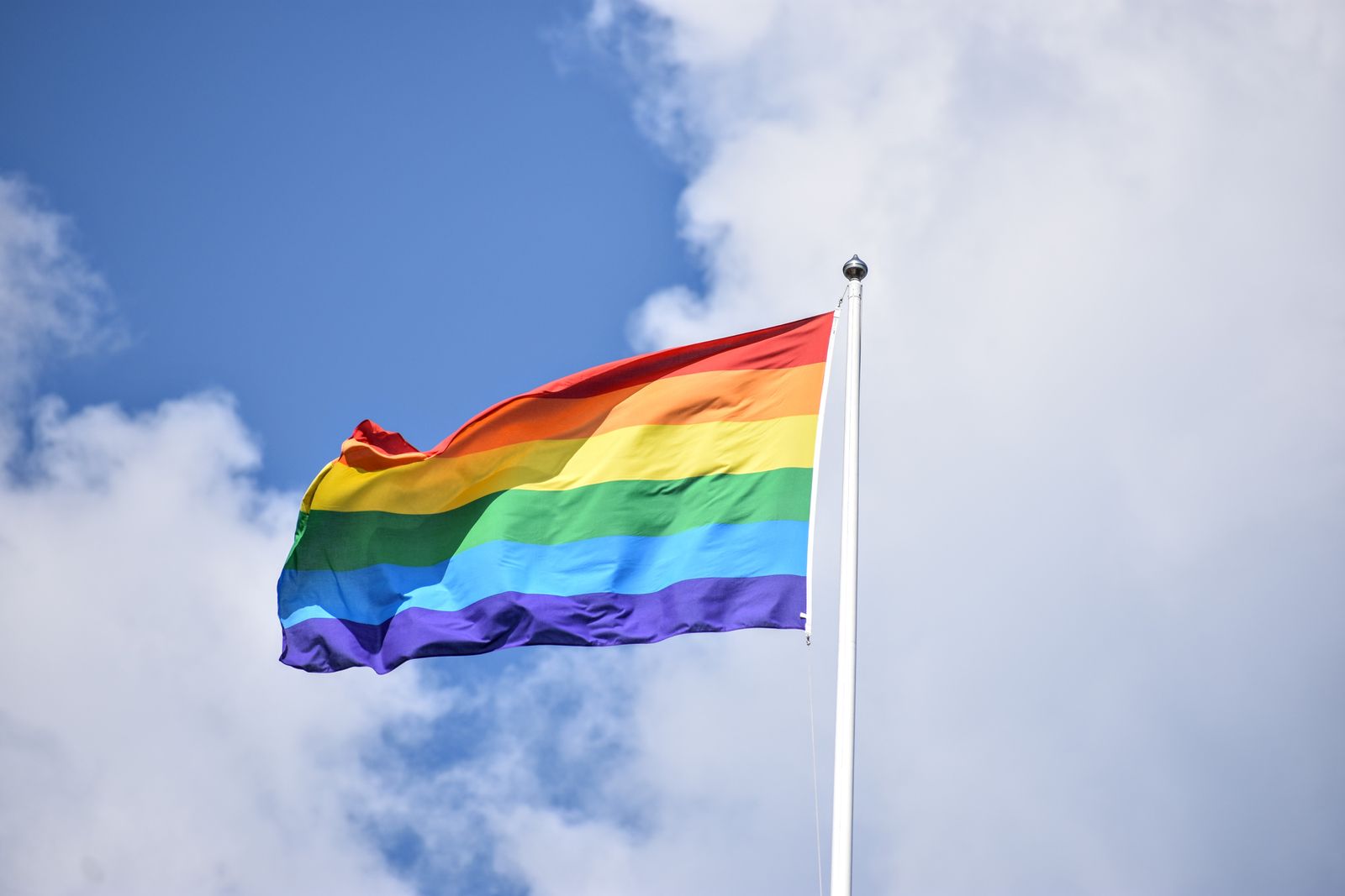 LGBTQIA+ Culture | Publicly Private Culture Education Center