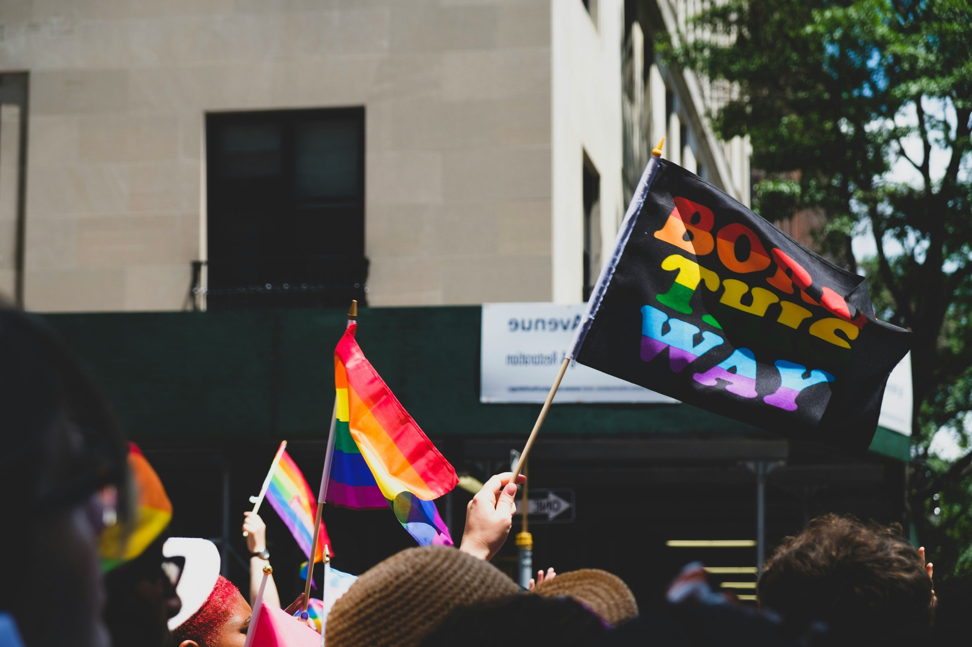 LGBTQIA+ Culture | Publicly Private Culture Education Center