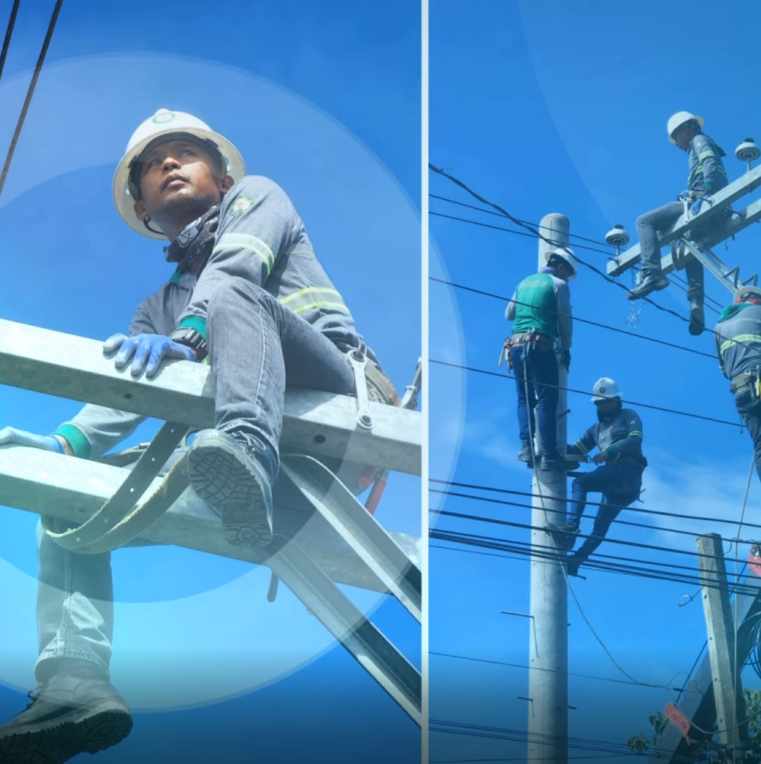 PANELCO III Official | Home