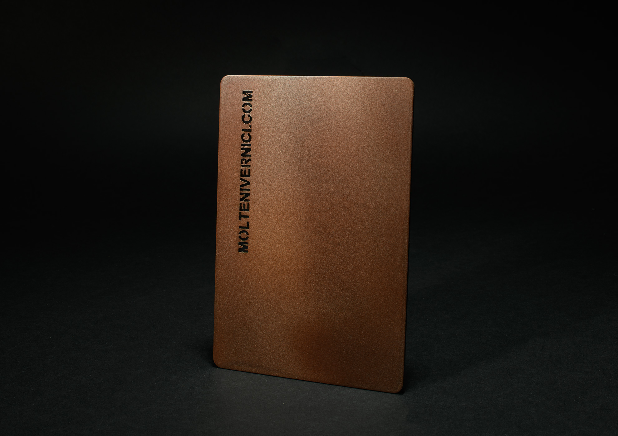 Molteni Vernici Speciali