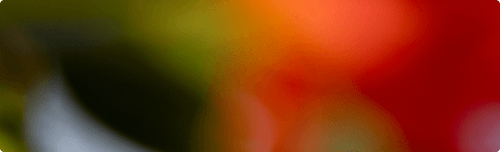 Mindbloom | The Outcomes of Treatment