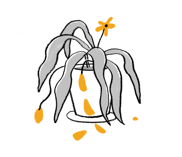 Mindbloom | Our Program: How Mindbloom Works