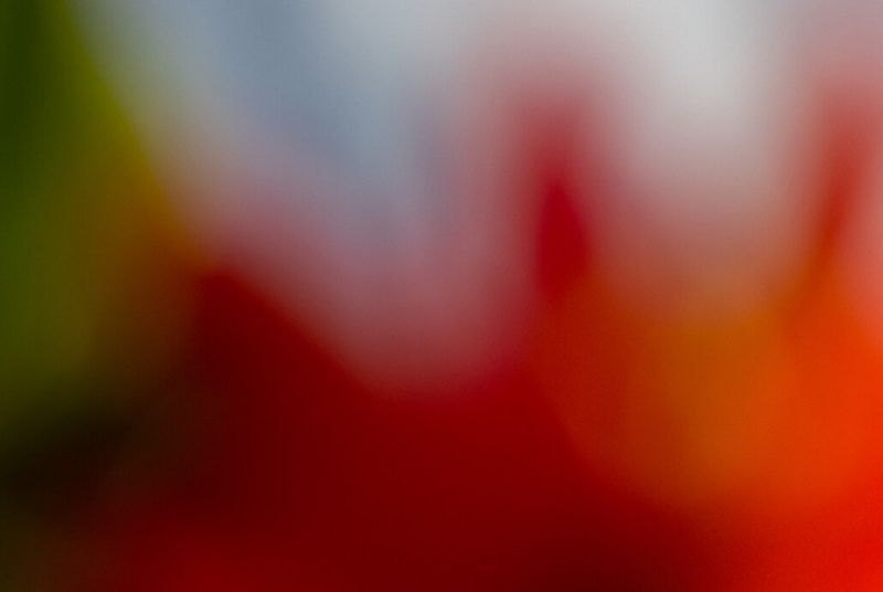 Mindbloom: ketamine therapy for anxiety and depression