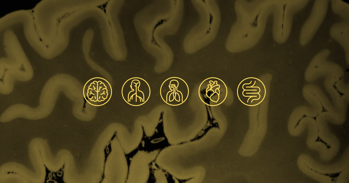 Explore the Science of Anxiety | Mindbloom