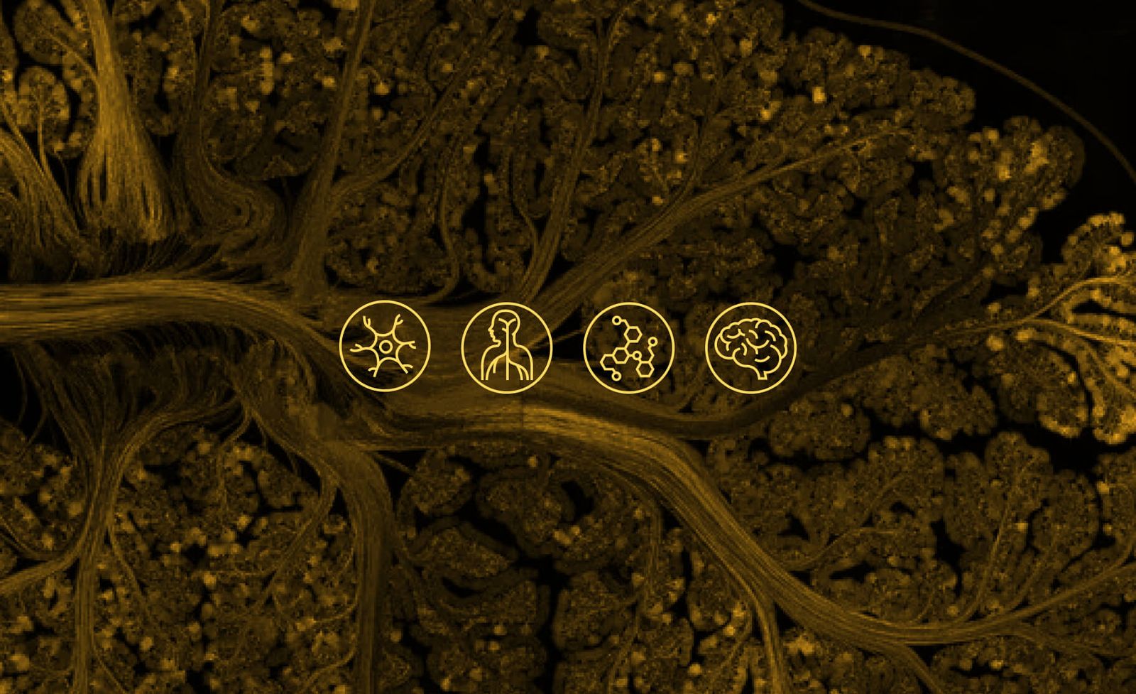 Explore the Science of Depression | Mindbloom