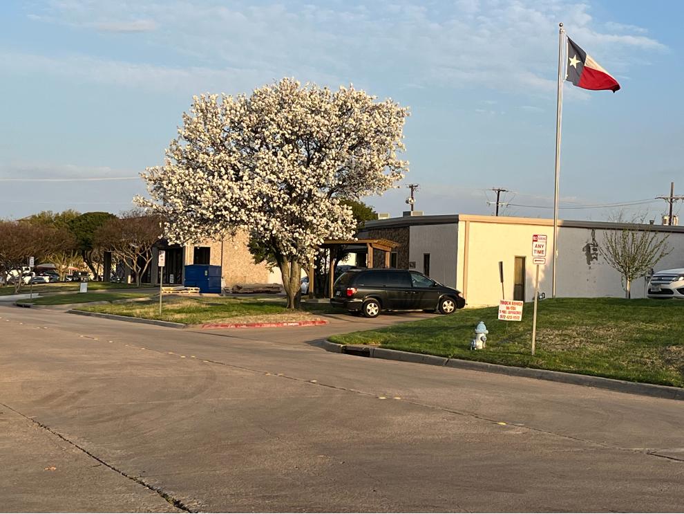 Texas Endoscopy - Nursing jobs in Plano, TX